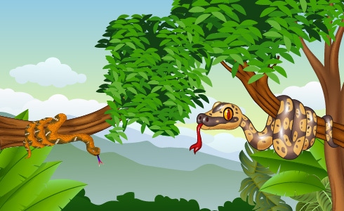 HackerEarth | Online coding platform and developer assessment software