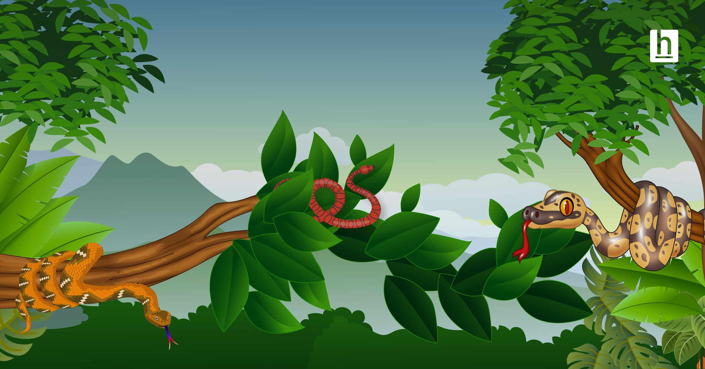 HackerEarth Deep Learning Challenge: Snakes in the hood