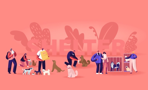 HackerEarth | Online coding platform and developer assessment software